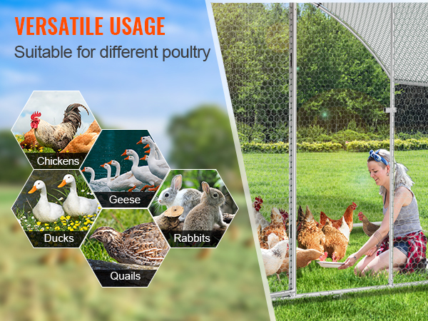 VEVOR Chicken Coop, 9.8x6.5x6.5ft Walk-in Large Metal Chicken Run for ...