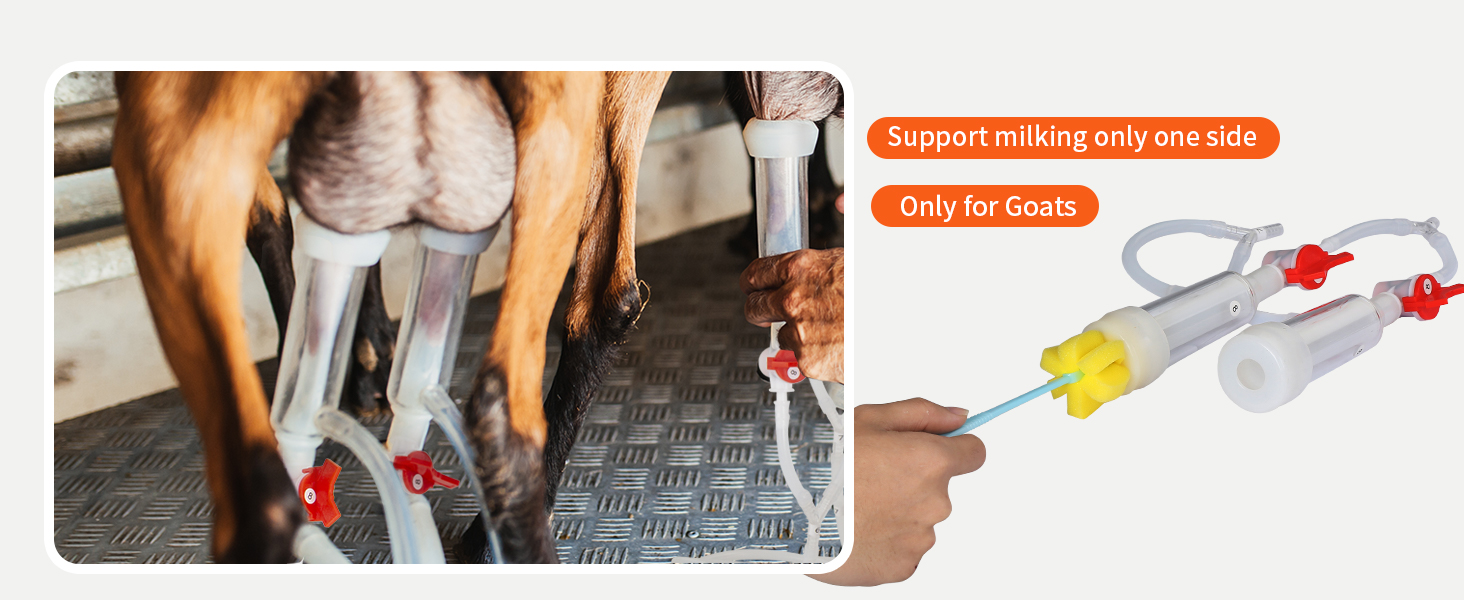VEVOR Goat Milking Machine, 3 L 304 Stainless Steel Bucket, Electric ...
