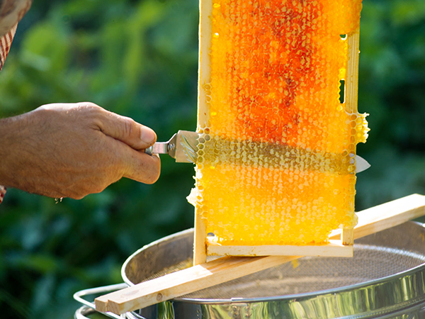 VEVOR Electric Honey Extractor, 4/8 Frames Honey Spinner Extractor ...
