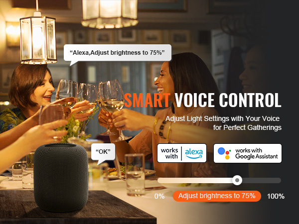 VEVOR WiFi Smart Light Dimmer Switch, 100-250V AC Wi-Fi 2.4GHz, 15% to ...
