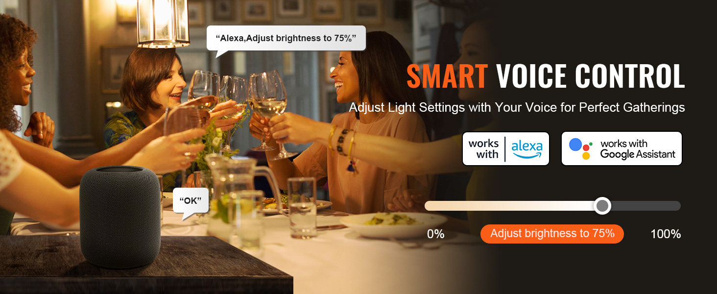 VEVOR WiFi Smart Light Dimmer Switch, 100-250V AC Wi-Fi 2.4GHz, 15% to ...