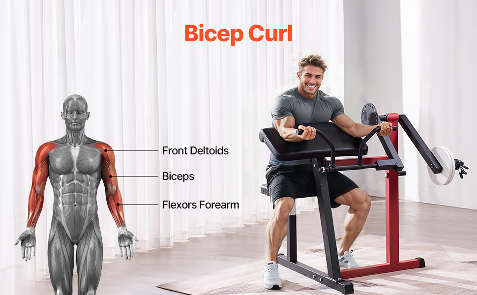 VEVOR 2 in 1 Preacher Curl Bench Bicep Curls and Triceps Extension ...