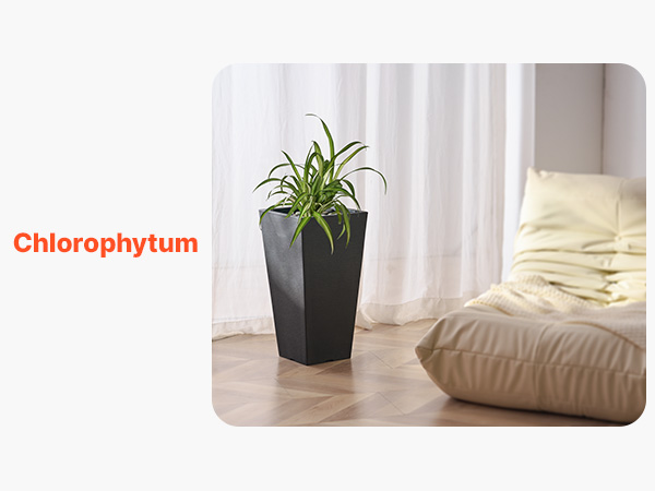 Tall Planter Set of 2 Square Tapered Planters 22 in for Outdoor Indoor ...