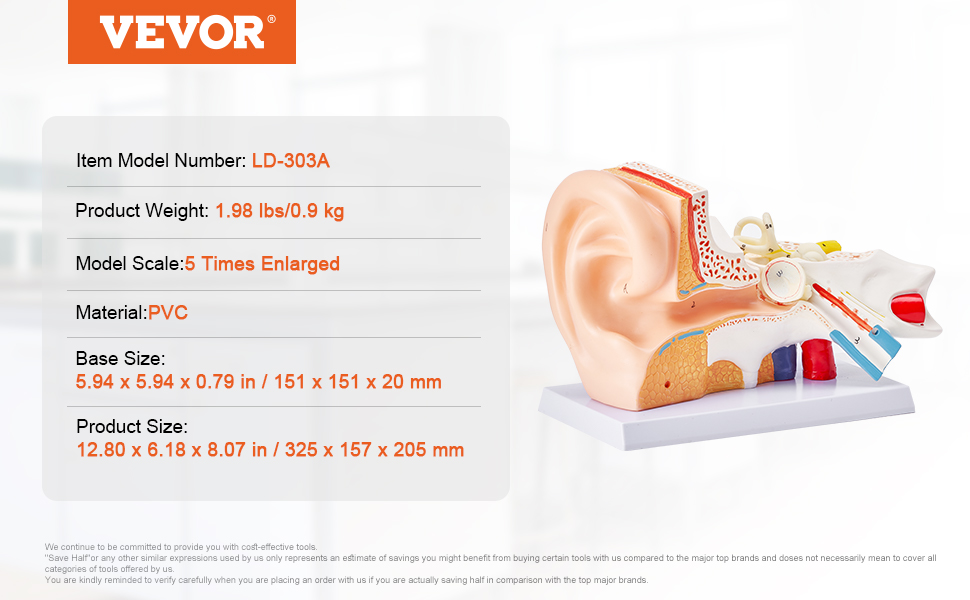 VEVOR Human Ear Anatomy Model, 3 Parts 5 Times Enlarged Human Ear Model Displaying Outer, Middle ...