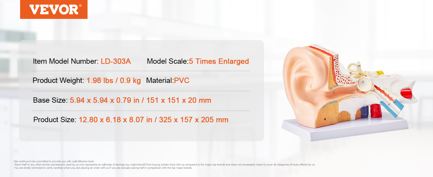 VEVOR Human Ear Anatomy Model, 3 Parts 5 Times Enlarged Human Ear Model Displaying Outer, Middle ...