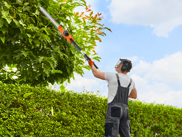 VEVOR Extendable Cordless Electric Hedge Trimmer 20V 1200RMP with 20in ...