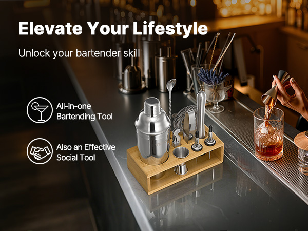 Cocktail Shaker Set 10 Pcs Bartender Kit Stainless Steel Bar Tool Set ...