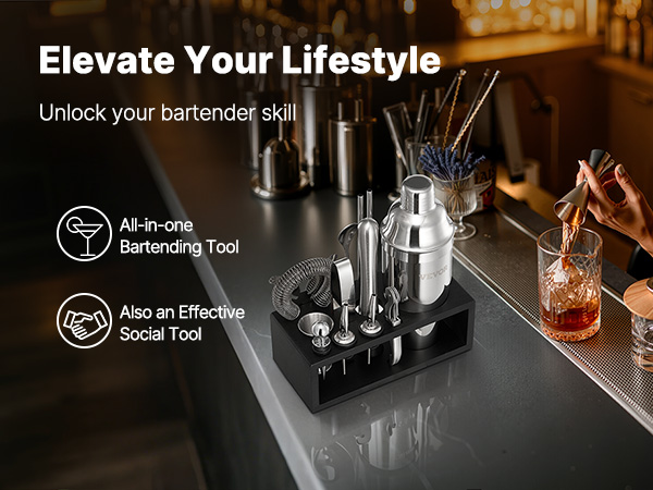 Cocktail Shaker Set 13 Pcs Bar Tool Set Stainless Steel Bartender Kit ...