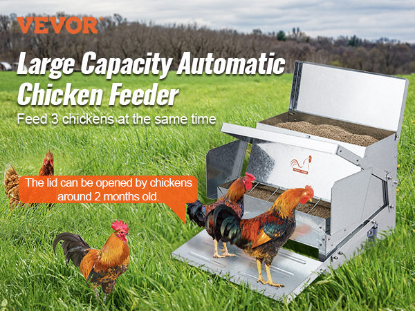 VEVOR Automatic Chicken Feeder, 25 lbs Capacity Feeds 10 Chickens up to ...