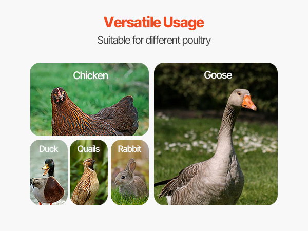 Metal Chicken Coop 6.56x6.56x6.56ft Walk-in Chicken Run with Cover ...