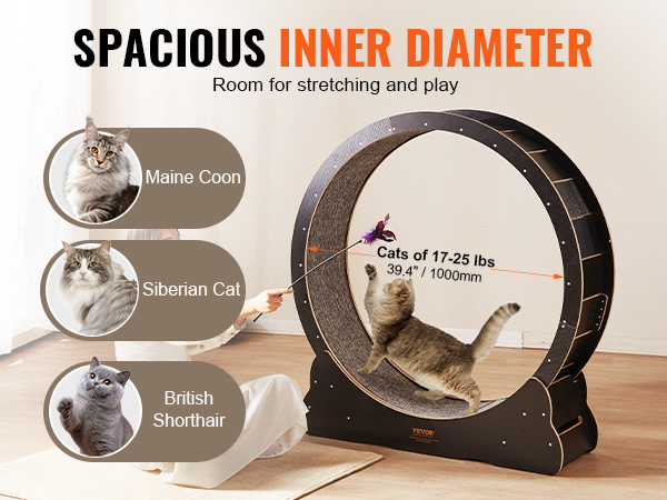 VEVOR Cat Exercise Wheel, Large Cat Treadmill Wheel for Indoor Cats, 43 ...