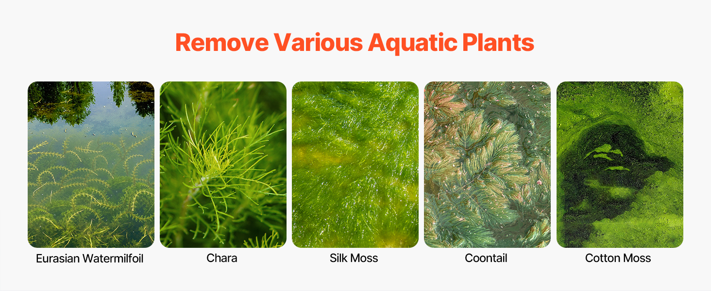 32x6.3 in Pond Aquatic Weed Rake Double-Sided Lake Weed Removal Rake ...