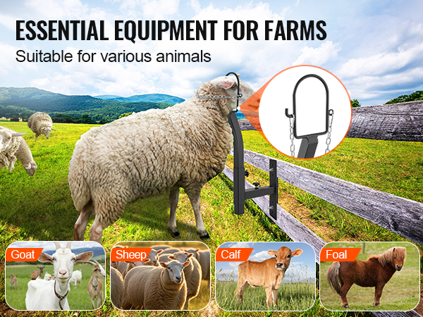 VEVOR Livestock Trimming Stand, Goat & Sheep Stand 9.37-12.8 inch ...