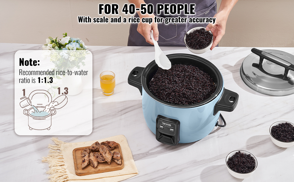 VEVOR Commercial Rice Cooker 50-Cup Non-Stick Pot 10L 24H Keep Warm ...