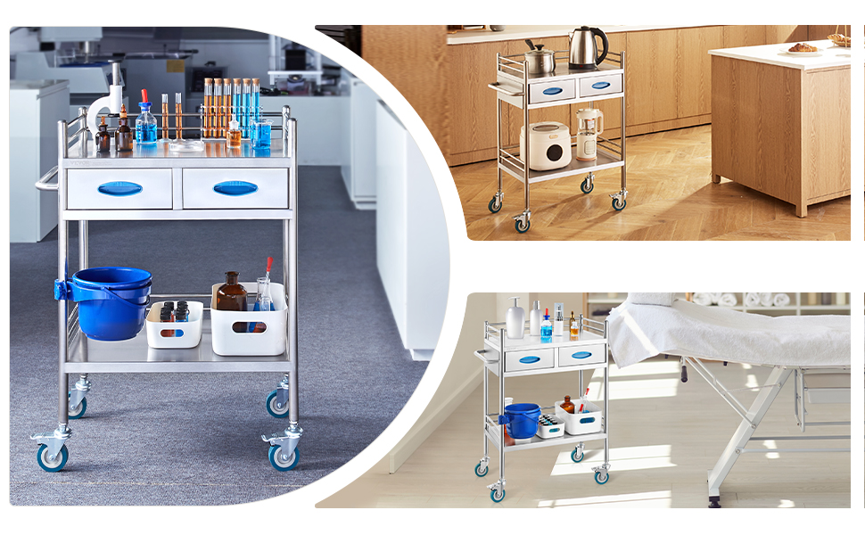 VEVOR Lab Serving Cart, 2 Layers Stainless Steel Utility Rolling Cart ...