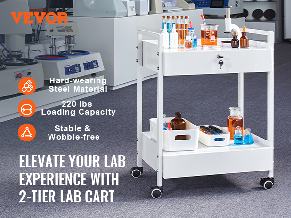 VEVOR Lab Cart, 2 Tiers Stainless Steel Utility Cart, Medical Cart with ...