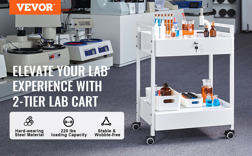 VEVOR Lab Cart, 2 Tiers Stainless Steel Utility Cart, Medical Cart with ...