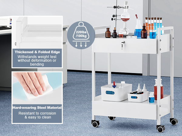 VEVOR Lab Cart, 2 Tiers Stainless Steel Utility Cart, Medical Cart with ...