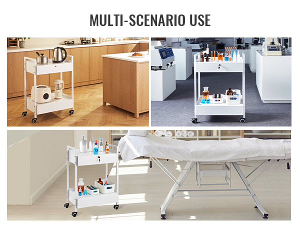 VEVOR Lab Cart, 2 Tiers Stainless Steel Utility Cart, Medical Cart with ...