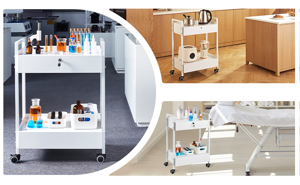 VEVOR Lab Cart, 2 Tiers Stainless Steel Utility Cart, Medical Cart with ...