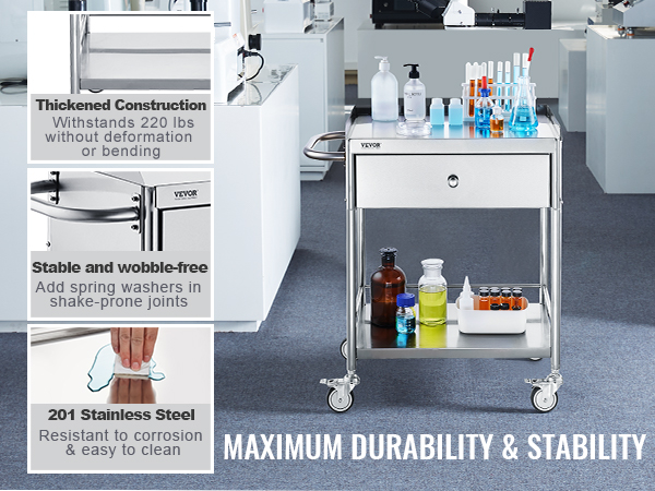 VEVOR Medical Cart, 2-Layer Stainless Steel Cart 220 lbs Weight ...