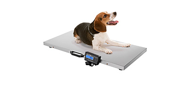 VEVOR 880Lbs x 0.2Lbs Livestock Scale Shipping Scales Large Platform 40 ...