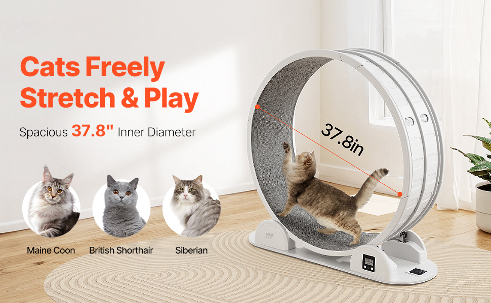 VEVOR Cat Exercise Wheel with Pedometer 40.8" Cat Treadmill for Pet ...